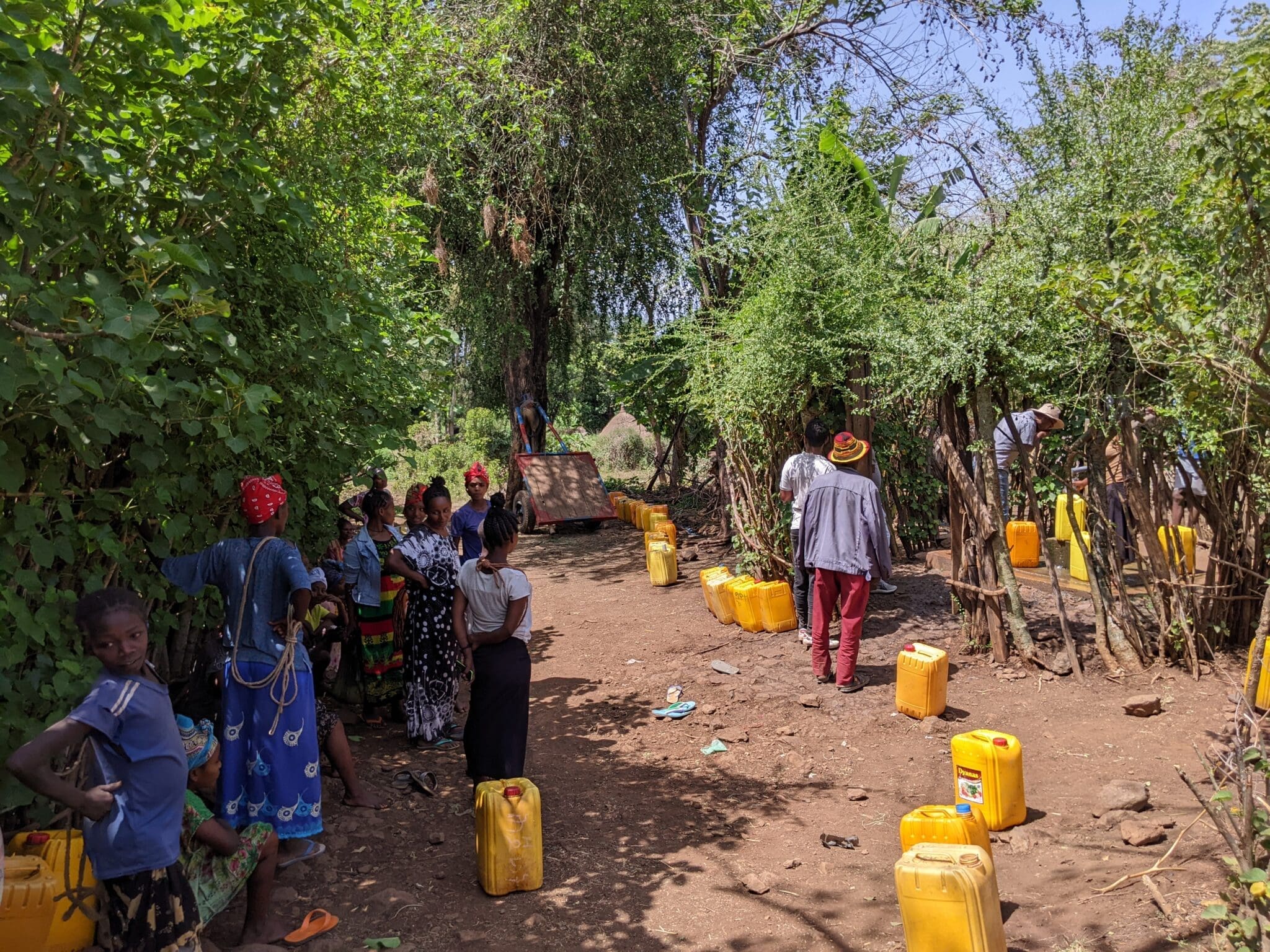 This Clean Energy Alliance Is Changing Energy for Good | RF