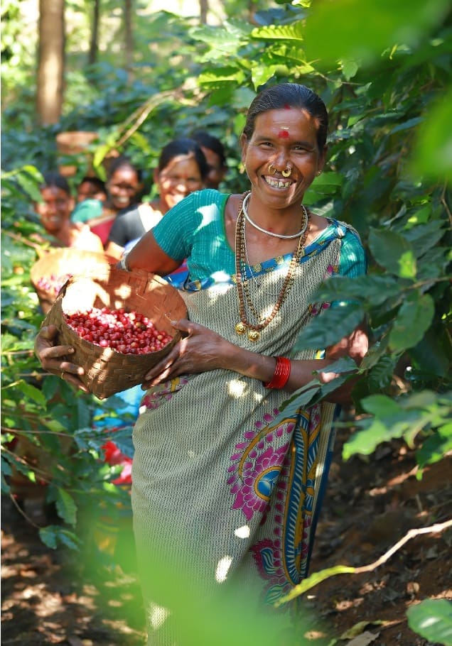 Supporting India’s Farmers To Regenerate the Soil | RF