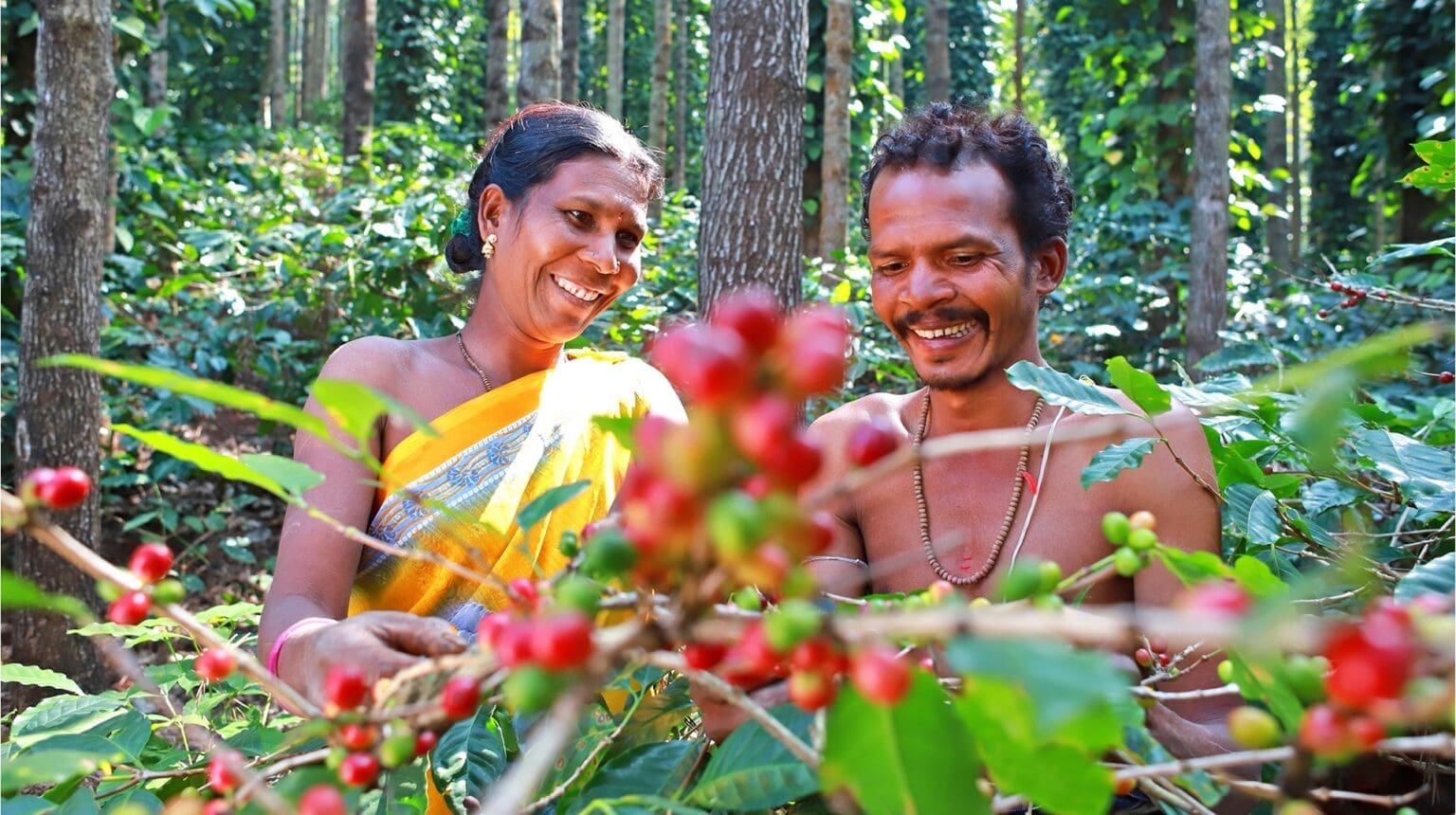 Supporting India’s Farmers To Regenerate the Soil | RF