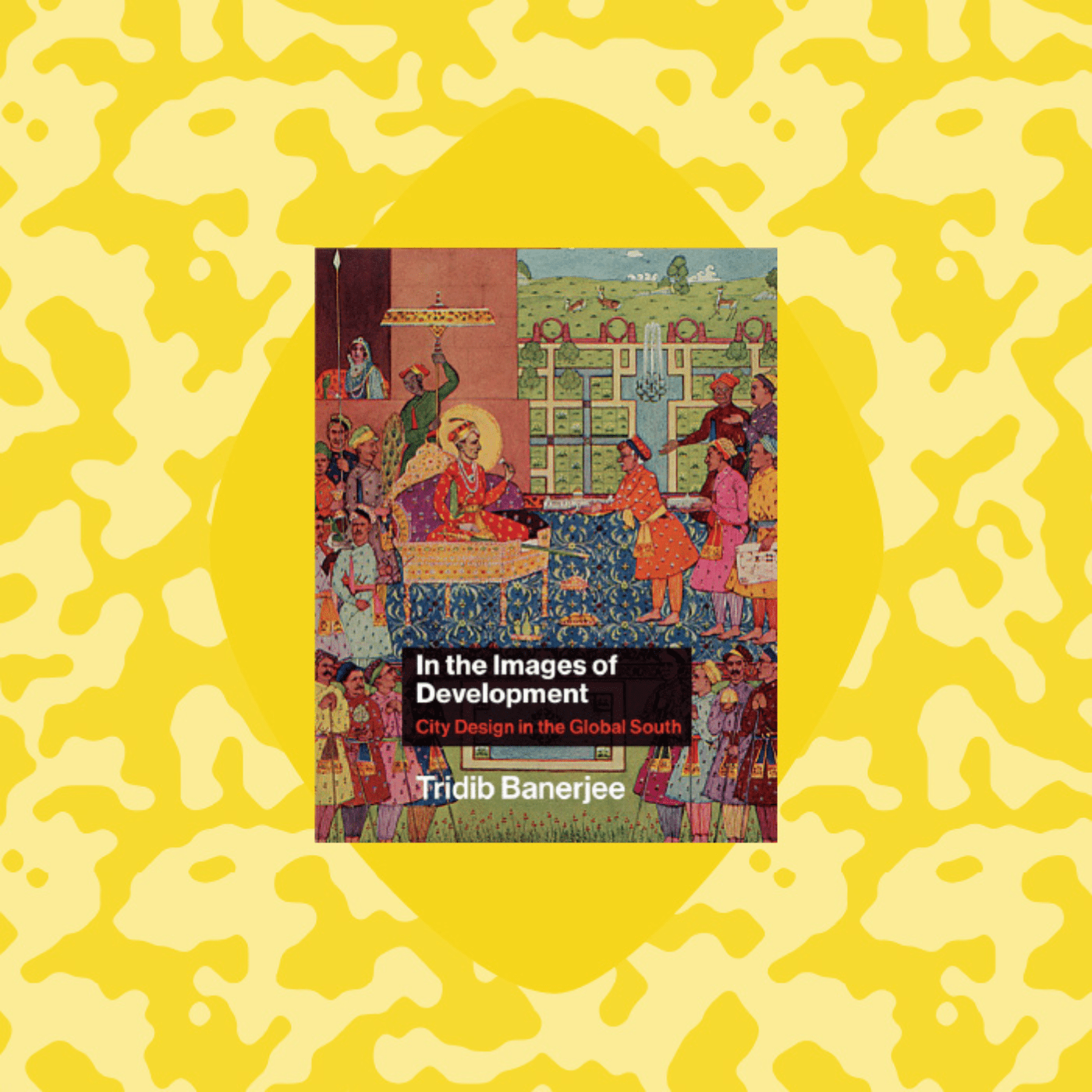 In the Images of Development: City Design in the Global South | RF