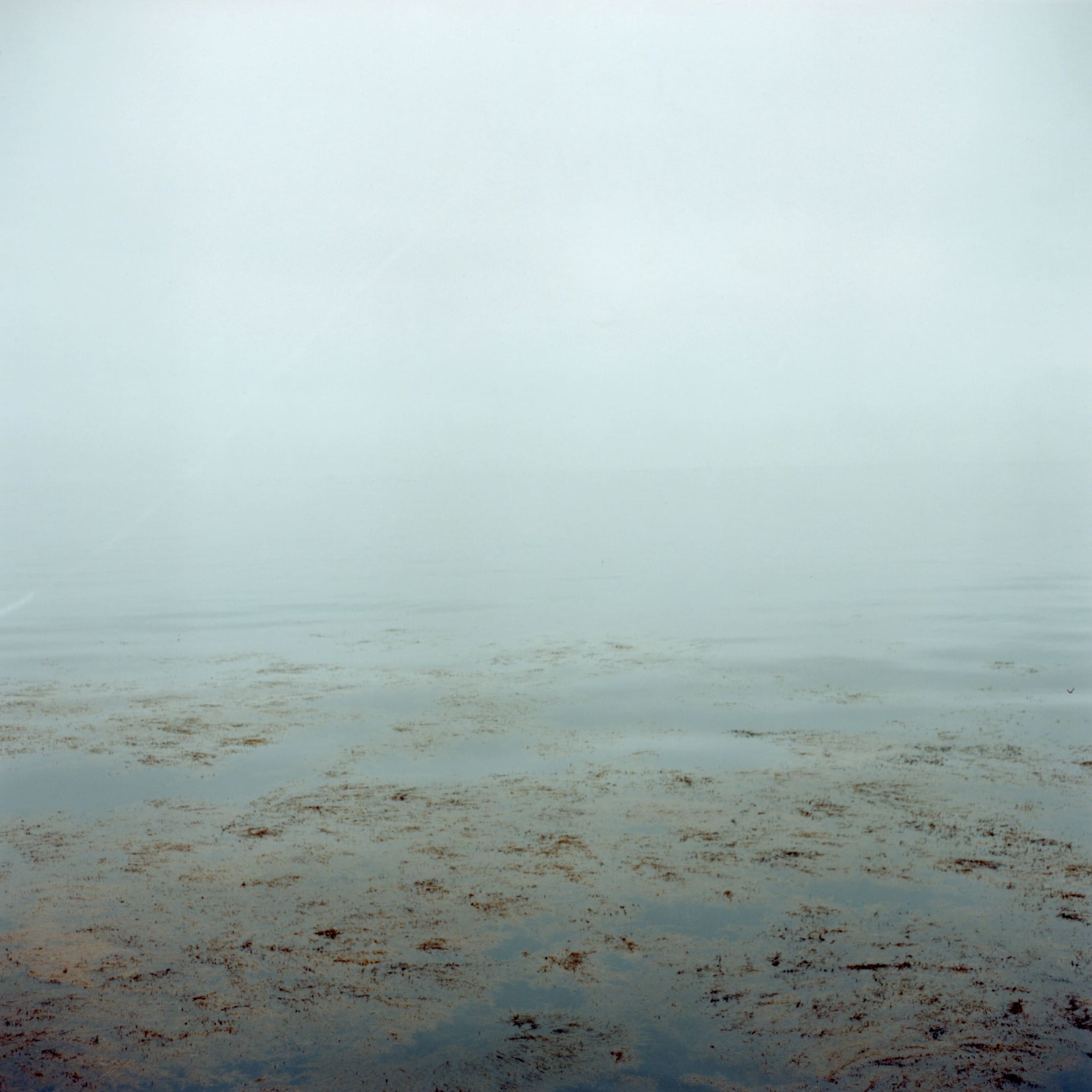 Untitled (Mikiko Hara)