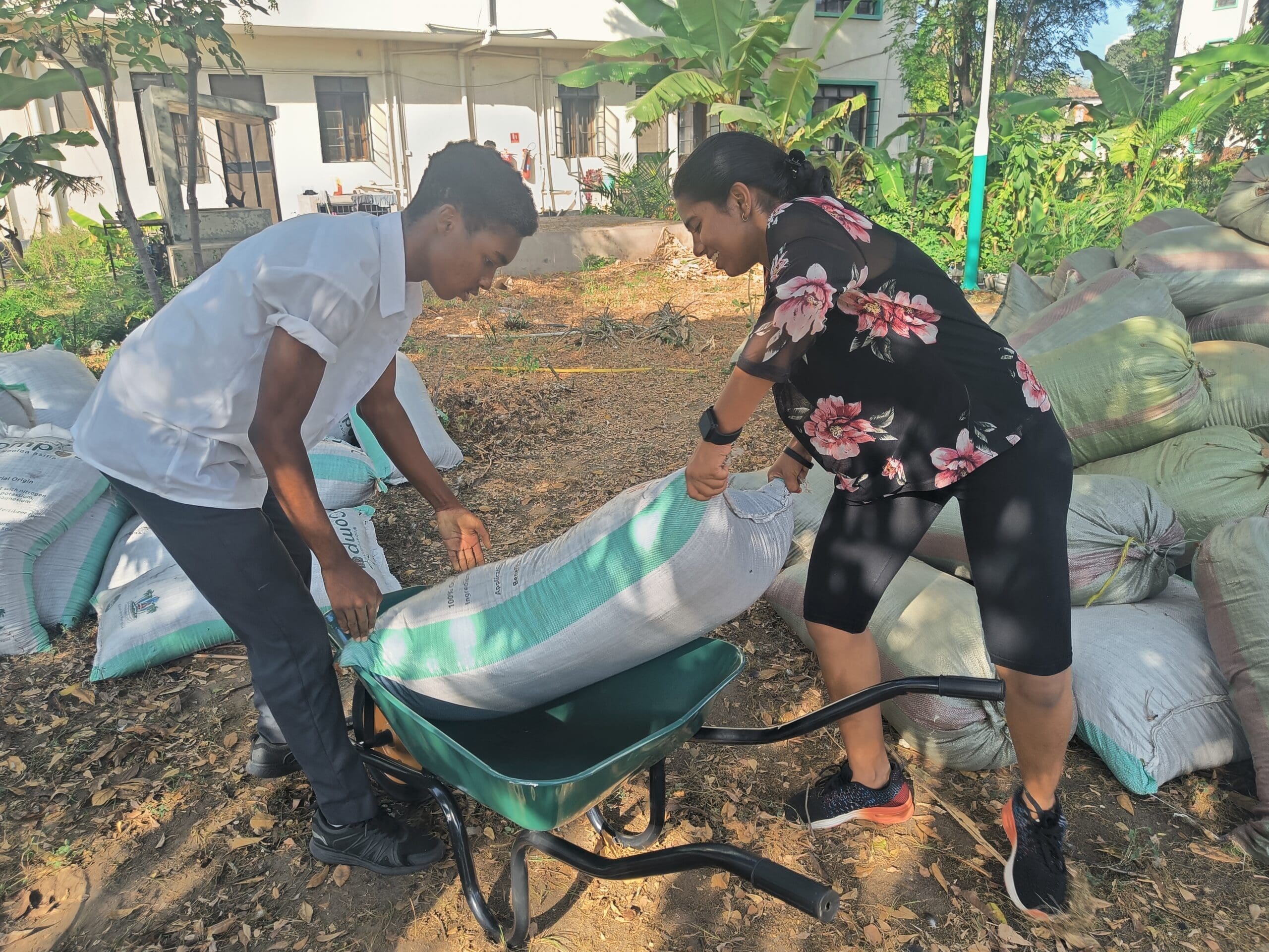A School Creates a Micro-Forest – and a Sense of Possibility | RF