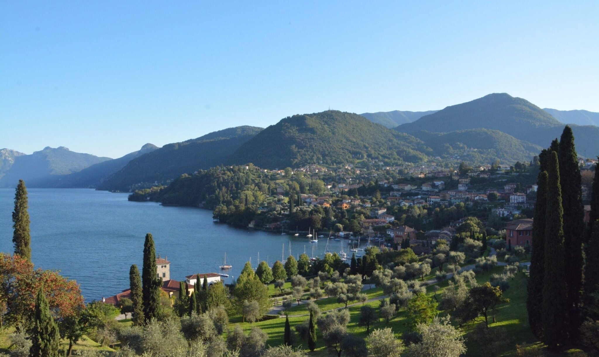 Fellowships and Convenings | RF