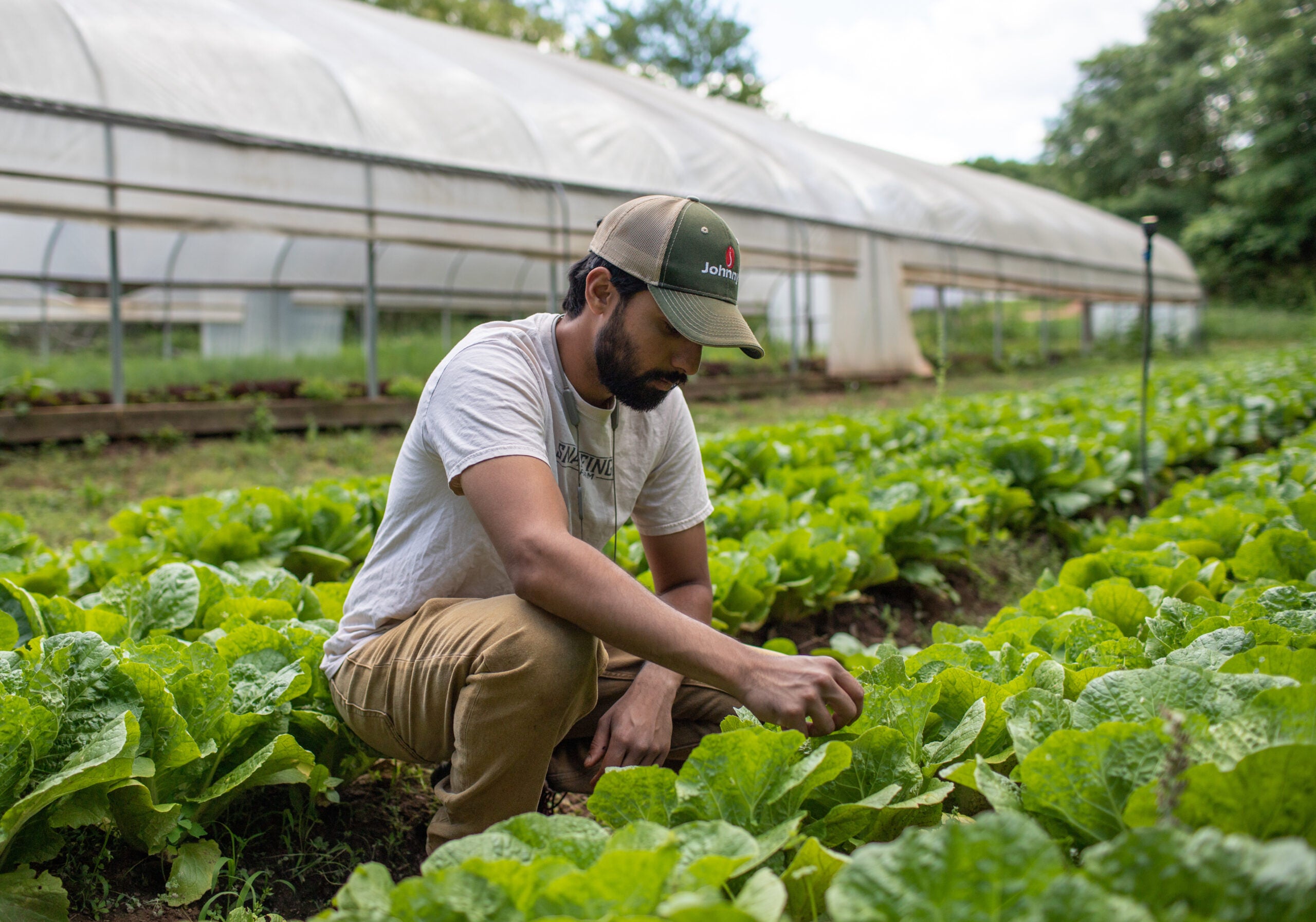 How to Make Regenerative Food Procurement Work: Lessons from the U.S. | RF